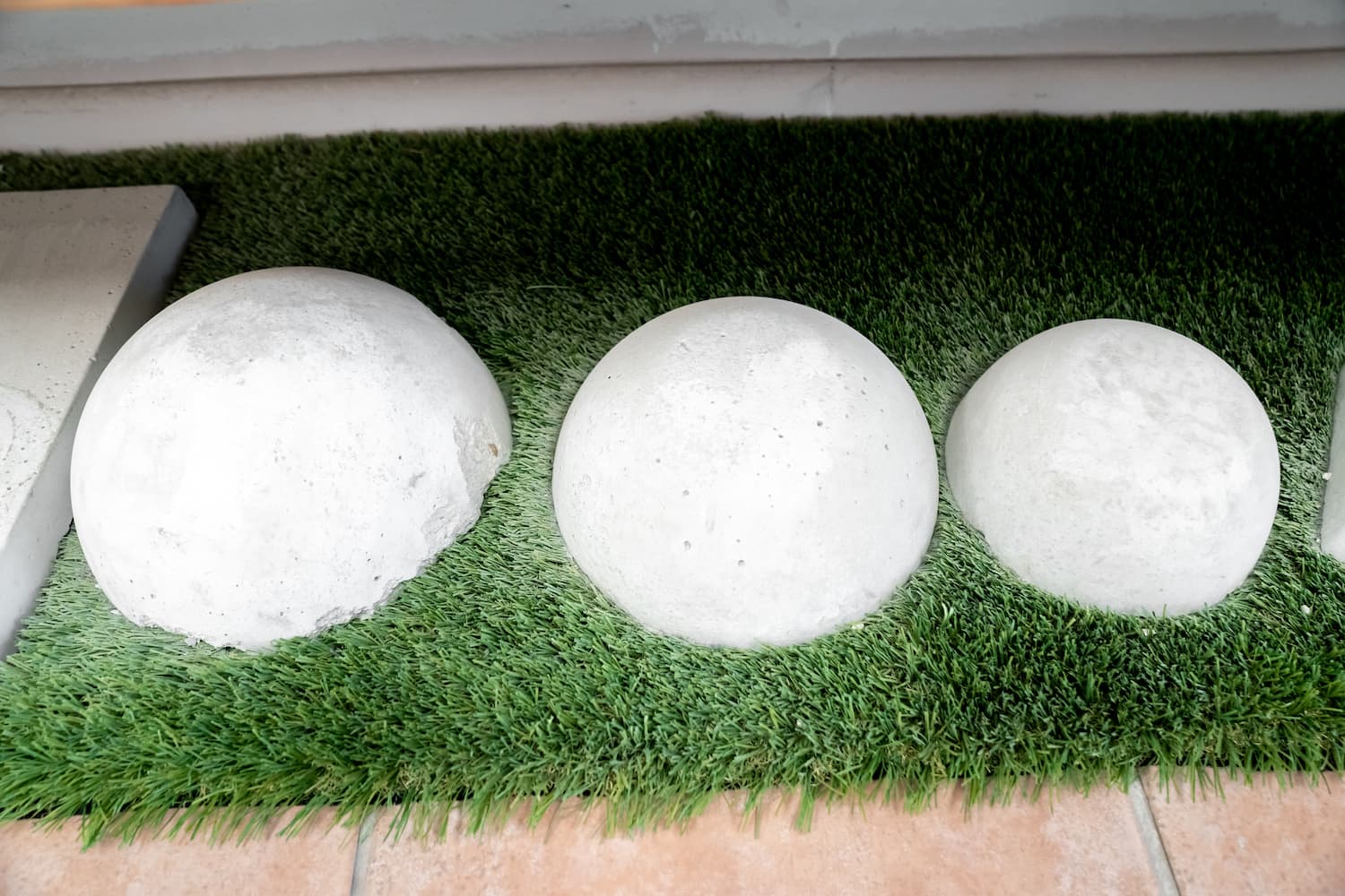 Half Moons - Tropical Garden Supply - Riz Garden Hollywood, FL