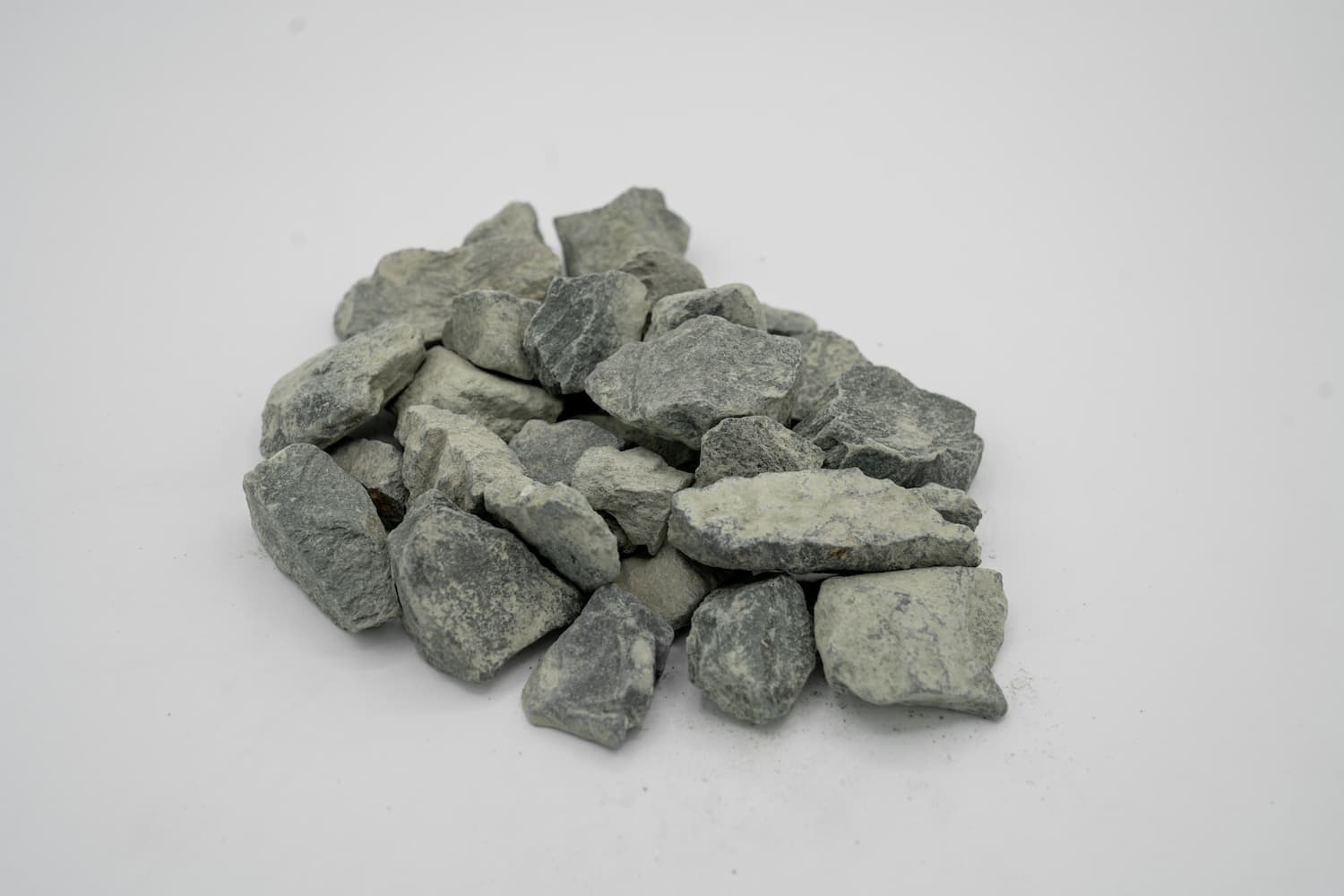 Bermuda Green - Tropical Garden Supply - Riz Garden Hollywood, FL