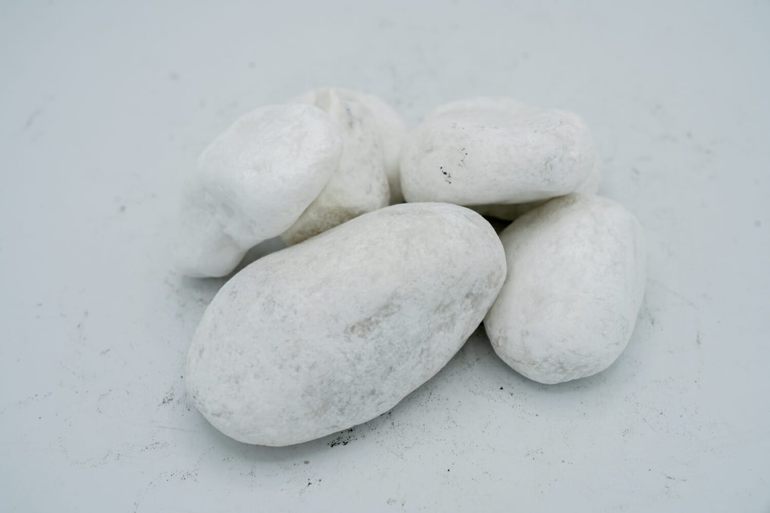 White Beach Pebbles 1-2” - Tropical Garden Supply - Riz Garden ...